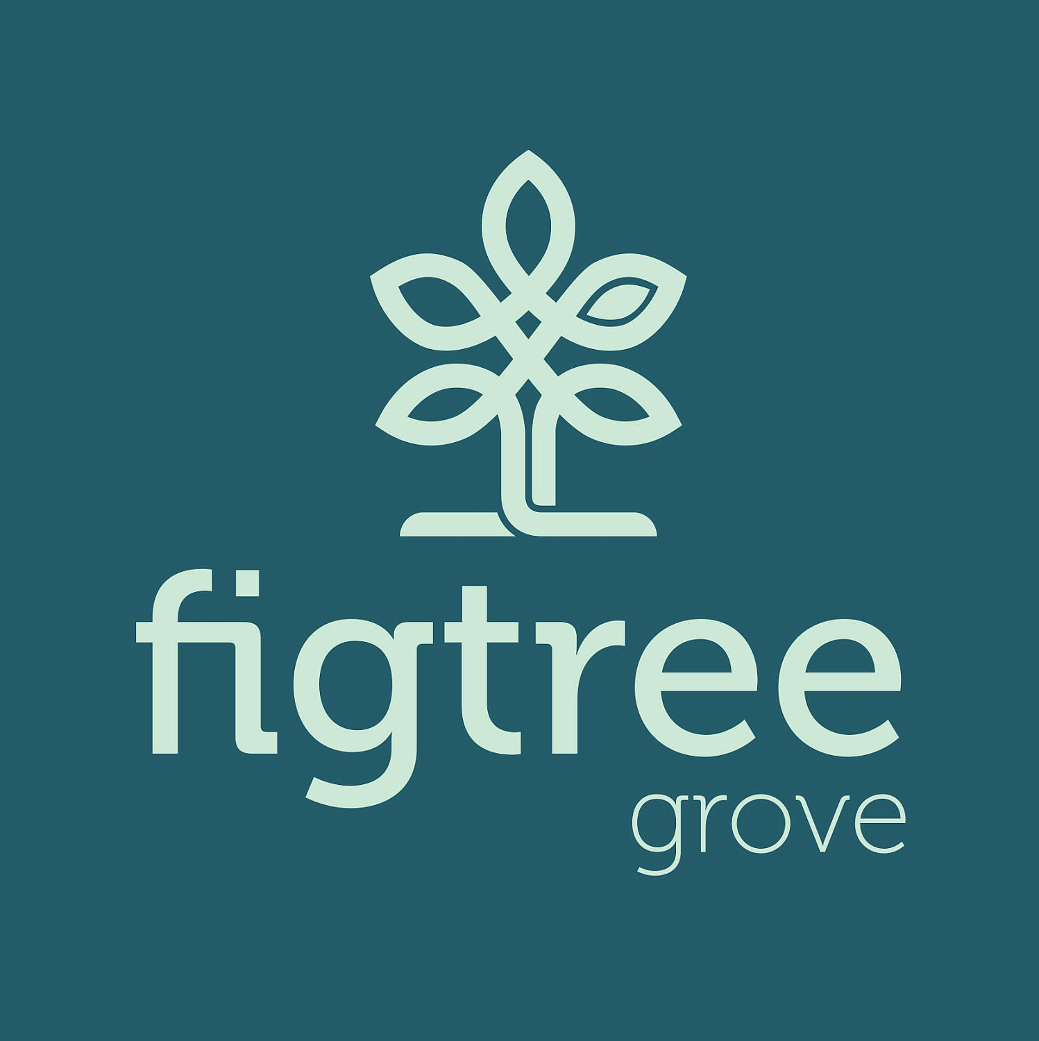 Functions - Figtree Grove - Joe's Photographics